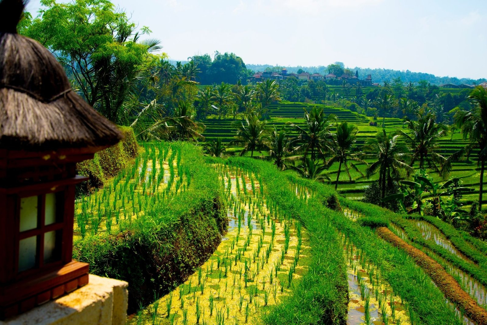 About Bali - Toya Mesari Bali